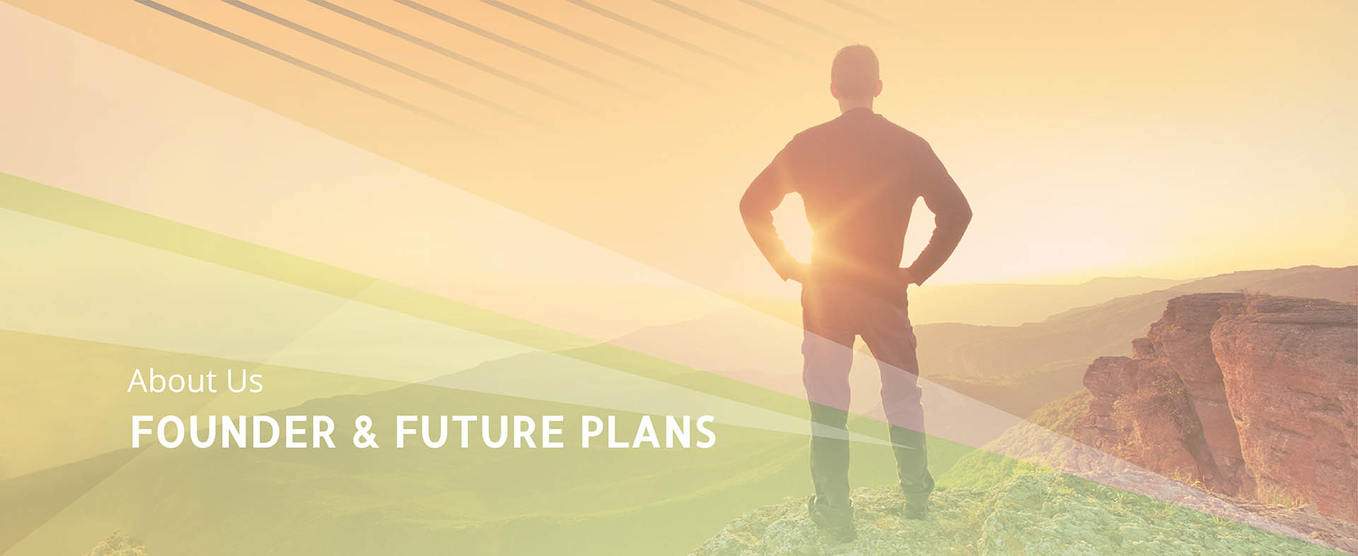 Founder & Future Plans - Lavis